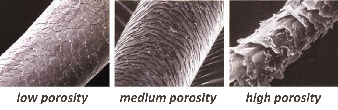 Three types of hair porosity